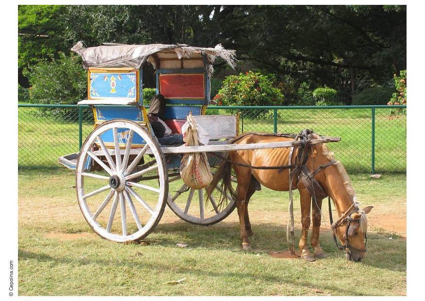 Foto de carruagem colorida com um cavalo pastando ao lado