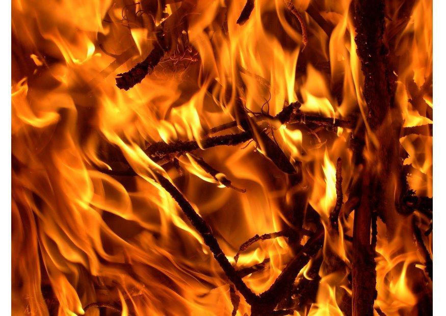 Foto van vuur - brand met vlammen die om takken heen dansen