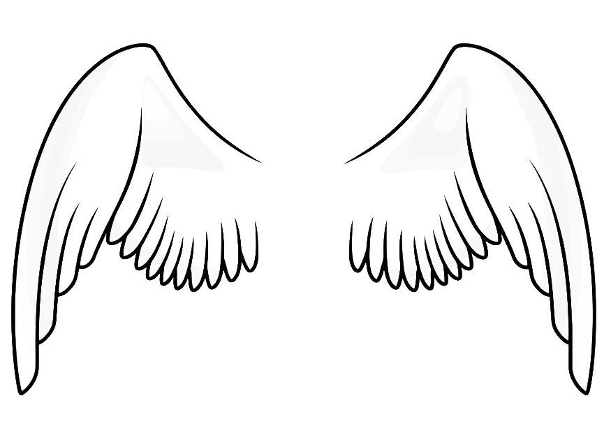 Pagina para colorir de asas com uma estrutura de penas detalhada