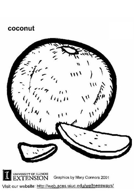 Desenho para Colorir de côco – Imagens Grátis para Imprimir – Imagem 5796
