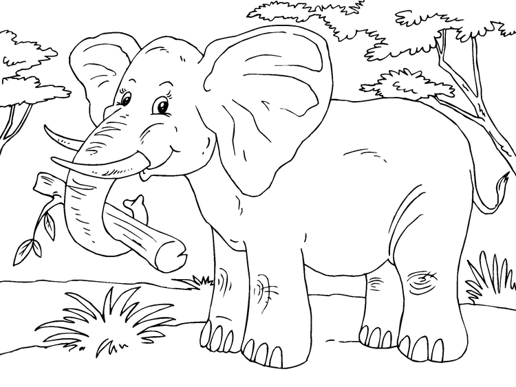 Desenho para Colorir de elefante – Imagens Grátis para Imprimir ...