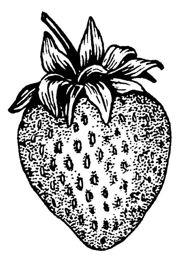 Morango Para Colorir Desenhos De Morango Para Colorir Pop